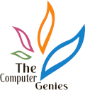 Computer Genies: Enterprise-Grade IT Solutions for Zero Downtime ...